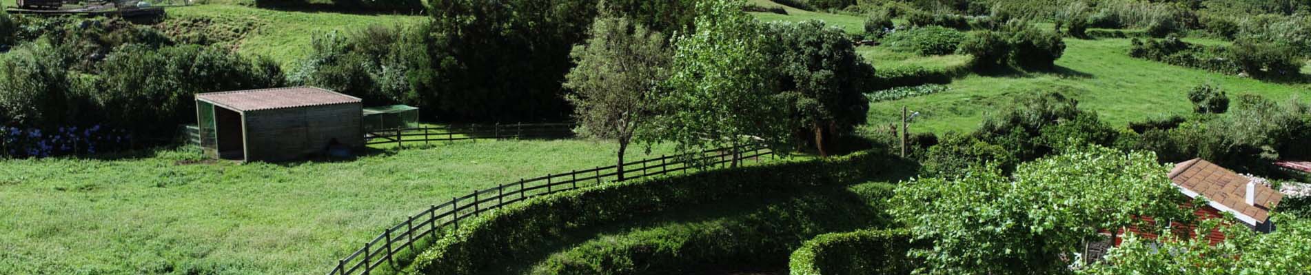 Our Farm - Casas Darramada